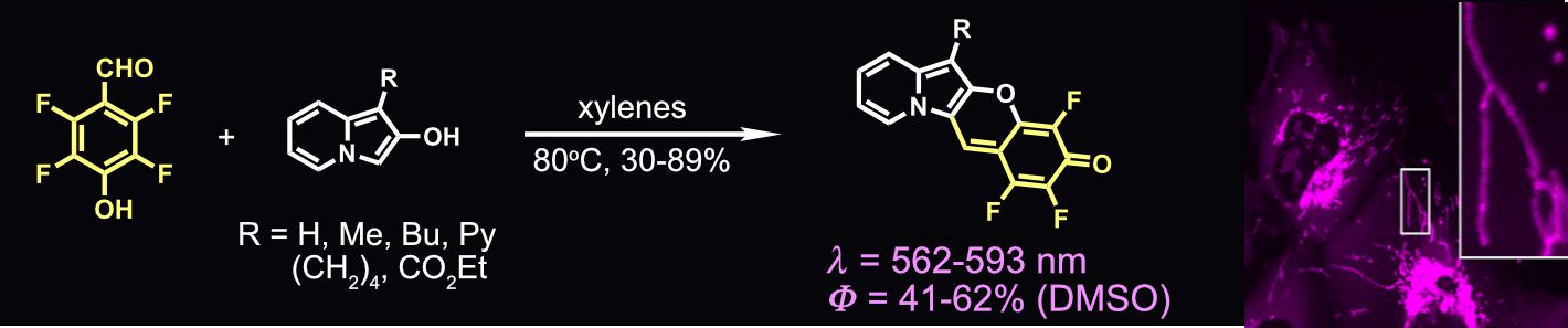 Article by the team of Prof. Daniel Gryko and Prof. Bartosz Grzybowski ...
